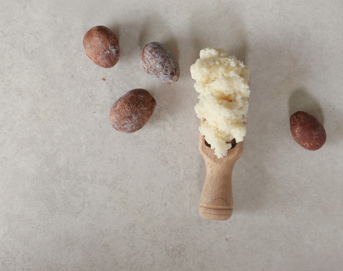 Ethically Sourced Natural Oils and Ingredients | Naissance – Naissance UK